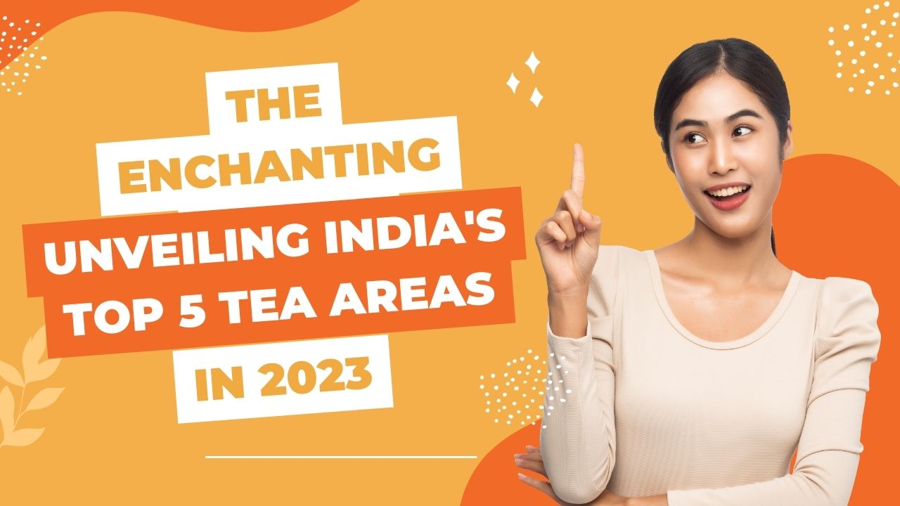 The Enchanting Elixir: Unveiling India’s Top 5 Tea Areas – Namhah